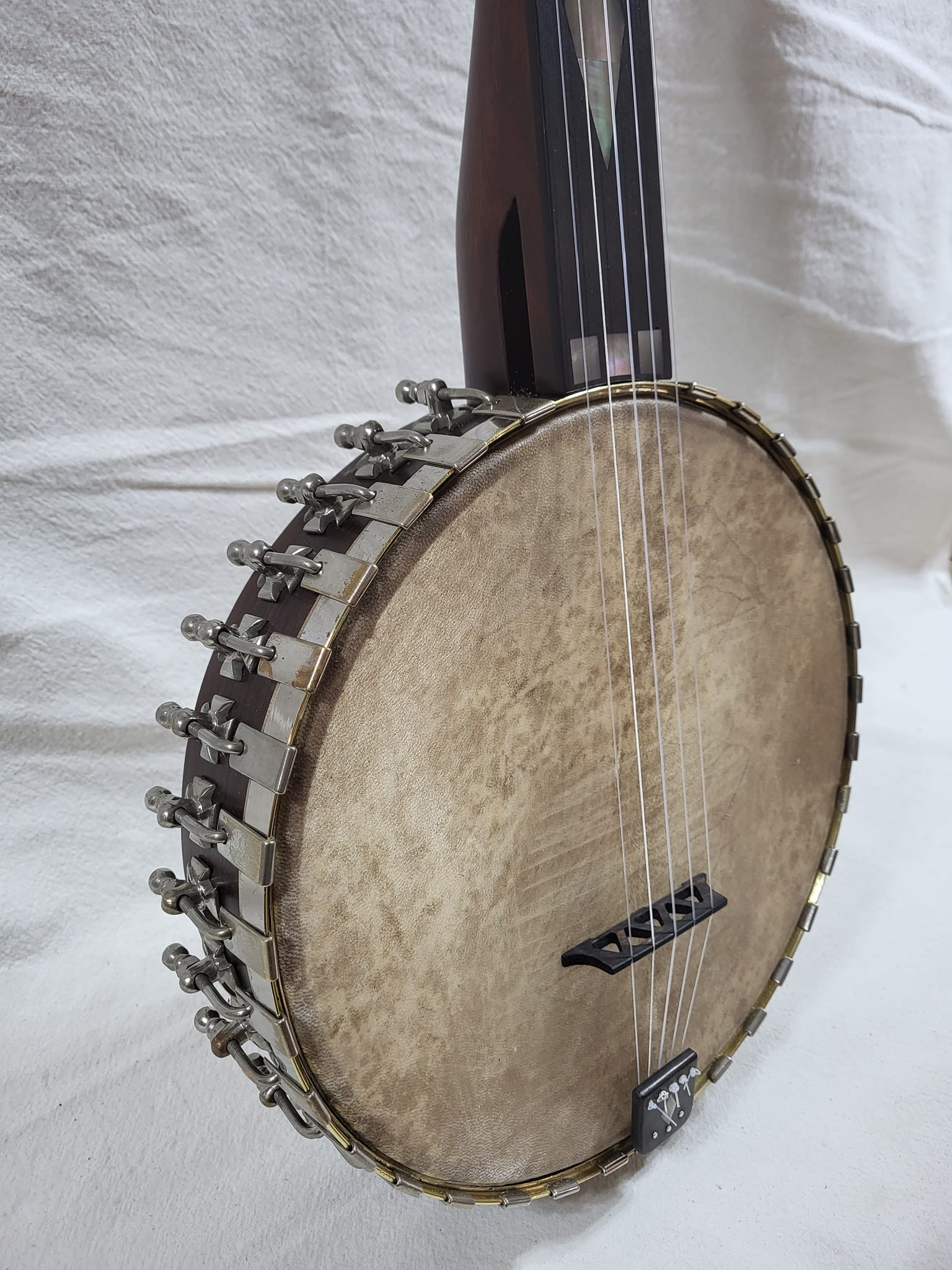 Second Life Banjo
